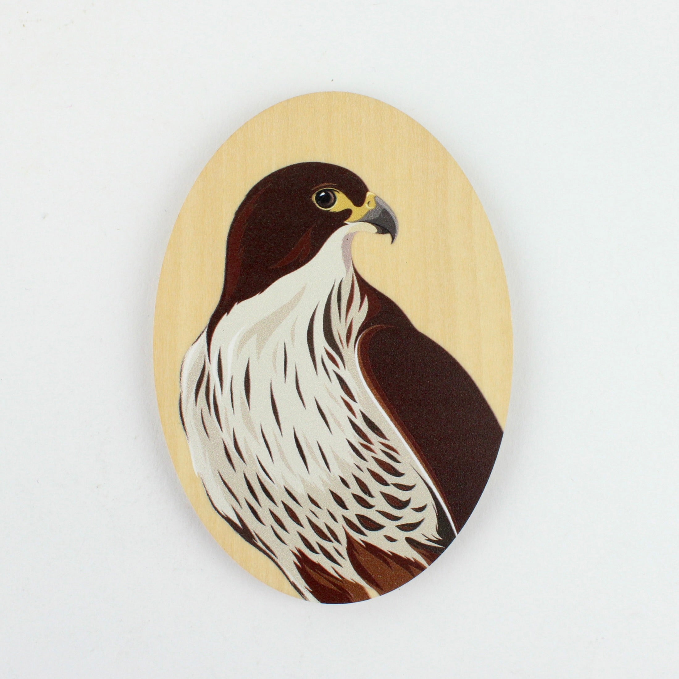 Falcon Magnet – Kina NZ Design + Artspace
