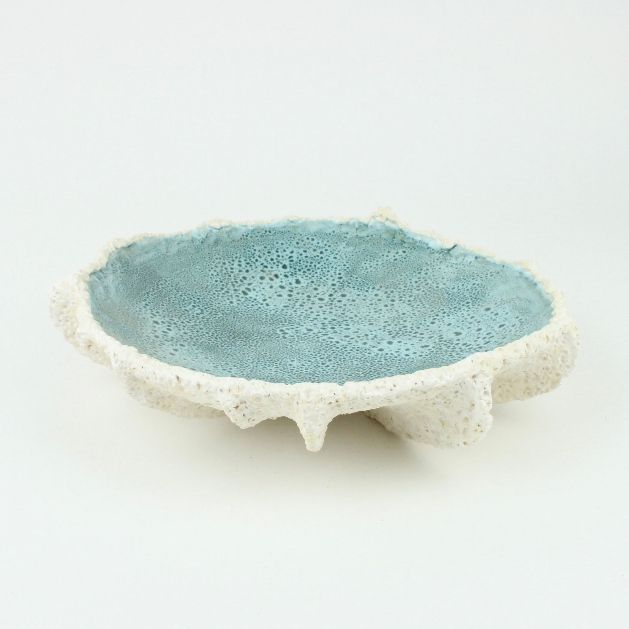 Shell Vessel II – Kina NZ Design + Artspace