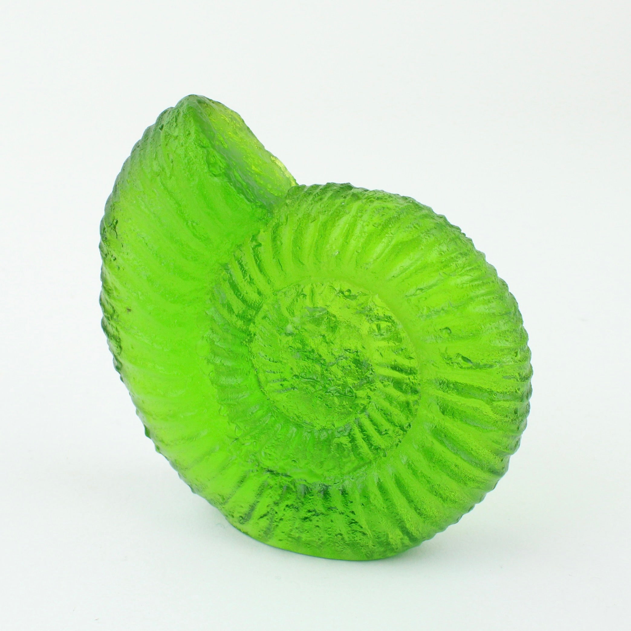 Ammonite - Green – Kina NZ Design + Artspace