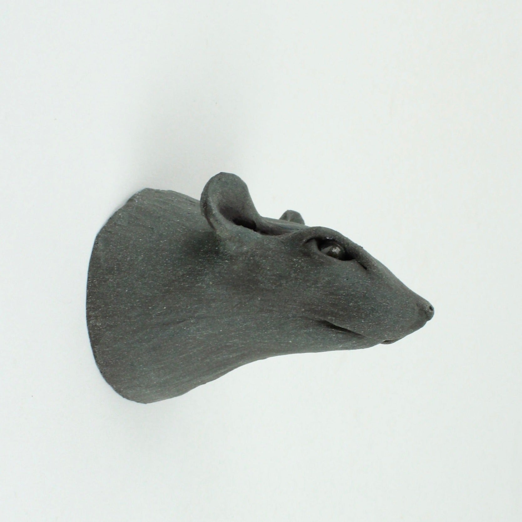 Rat Head No.62 – Kina NZ Design + Artspace