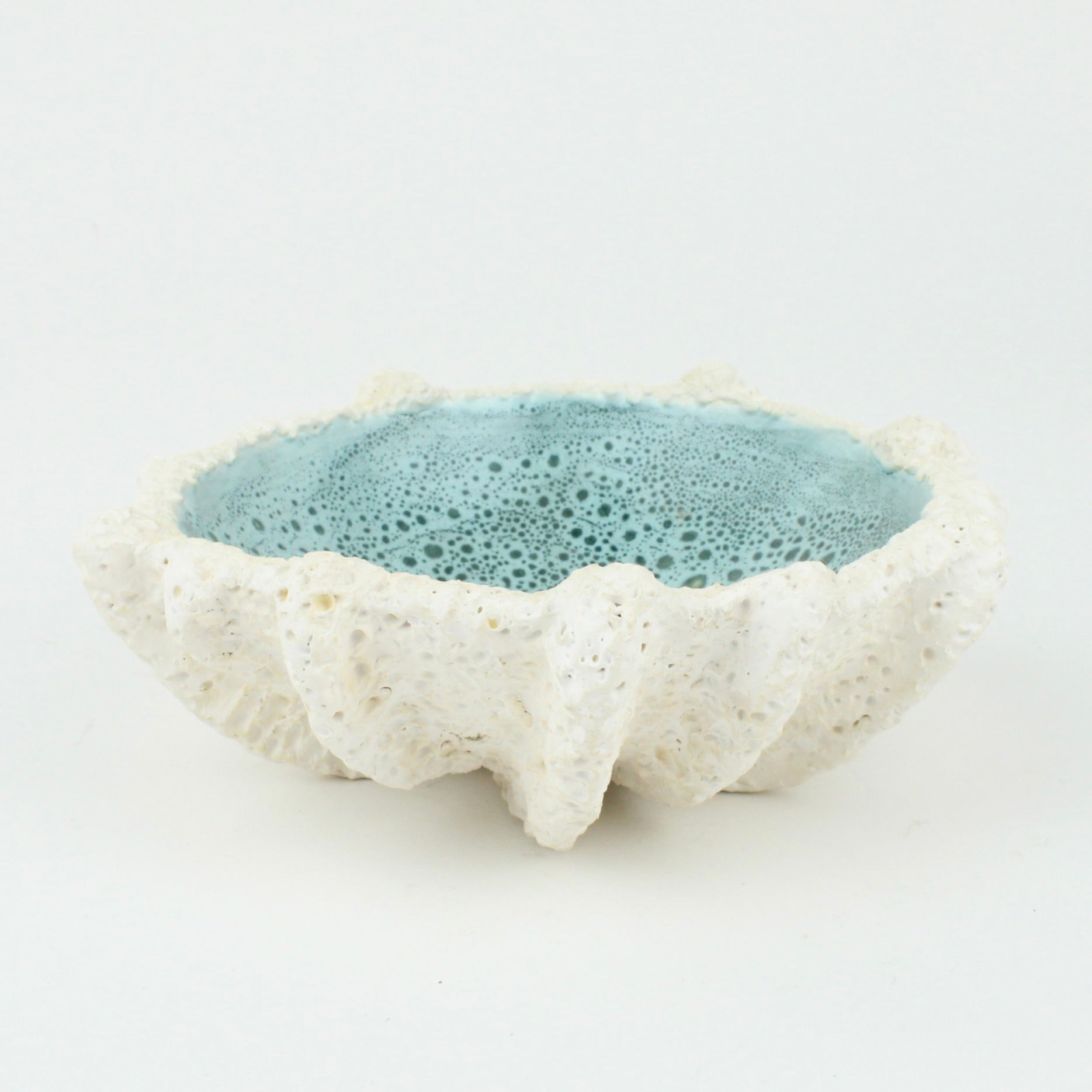 Shell Vessel I – Kina NZ Design + Artspace