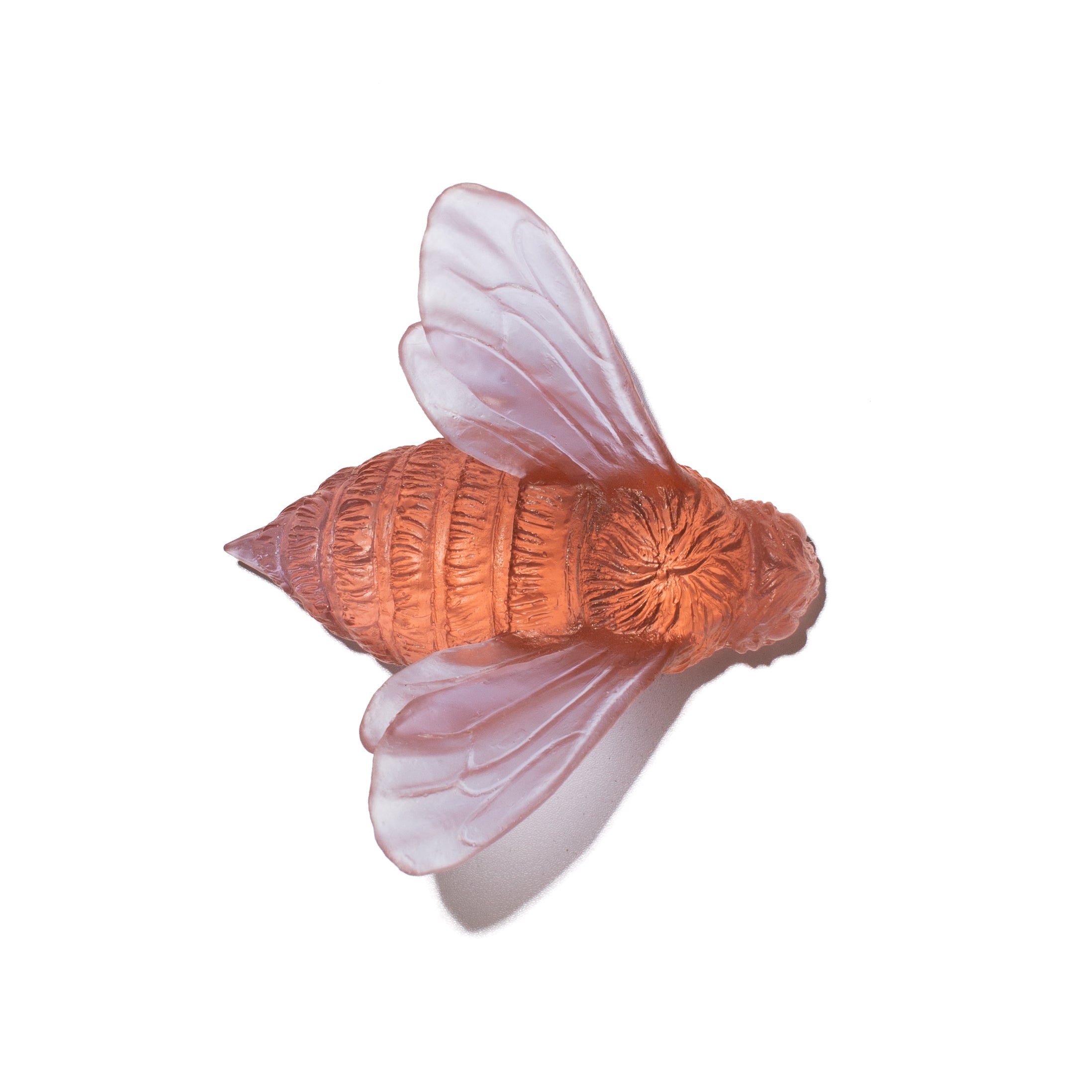 Honey Bee - Rose – Kina NZ Design + Artspace