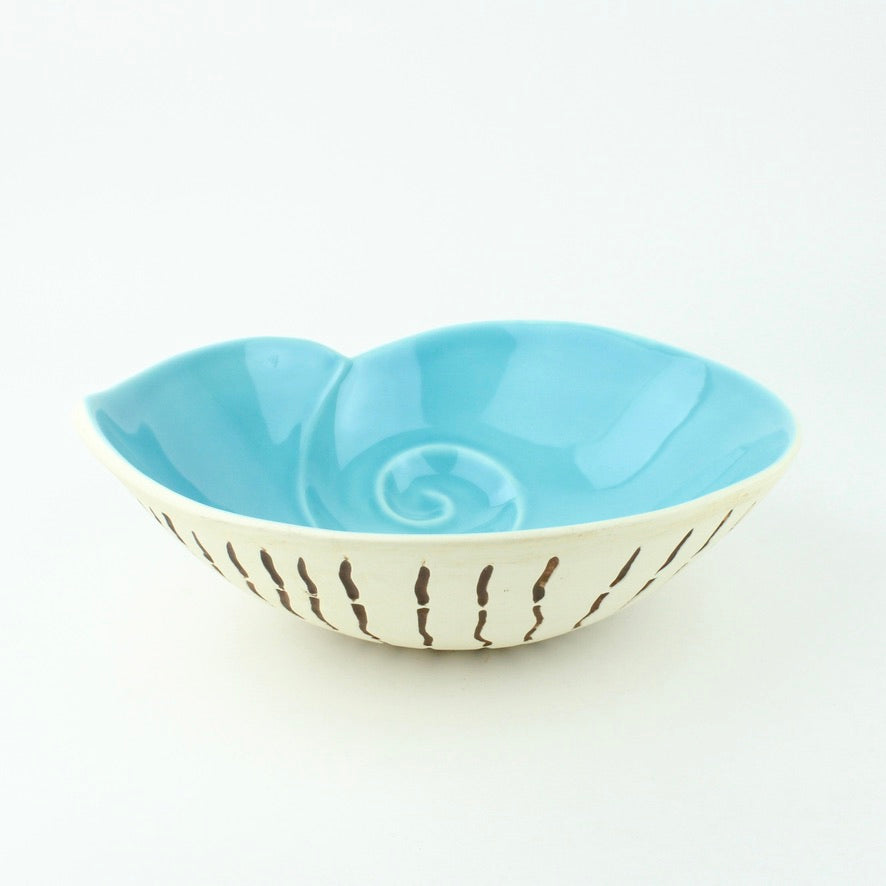 Nautilus Shell Bowl - aqua – Kina NZ Design + Artspace