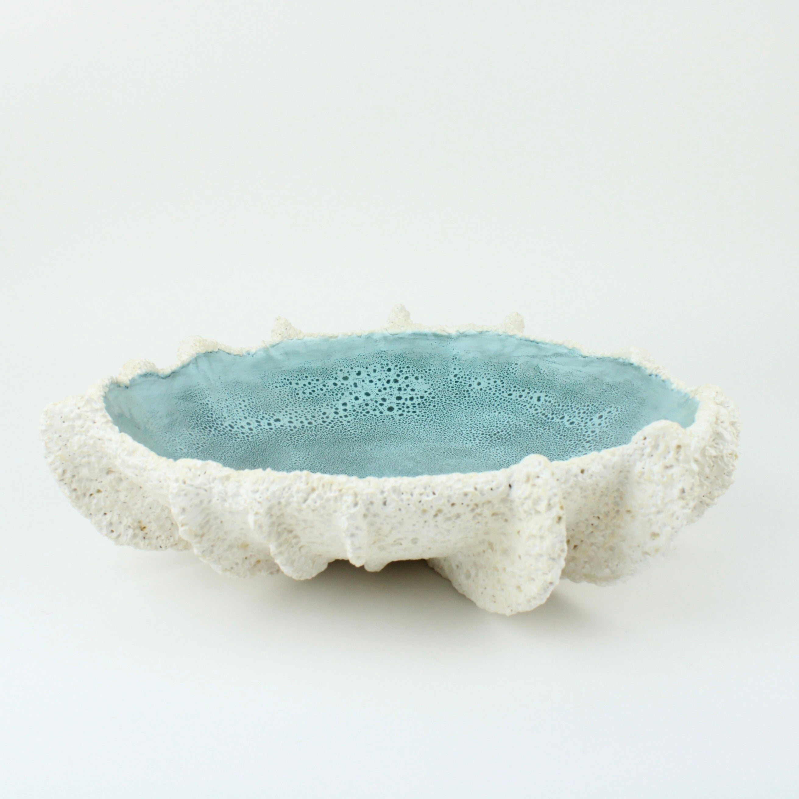 Shell Vessel III – Kina NZ Design + Artspace