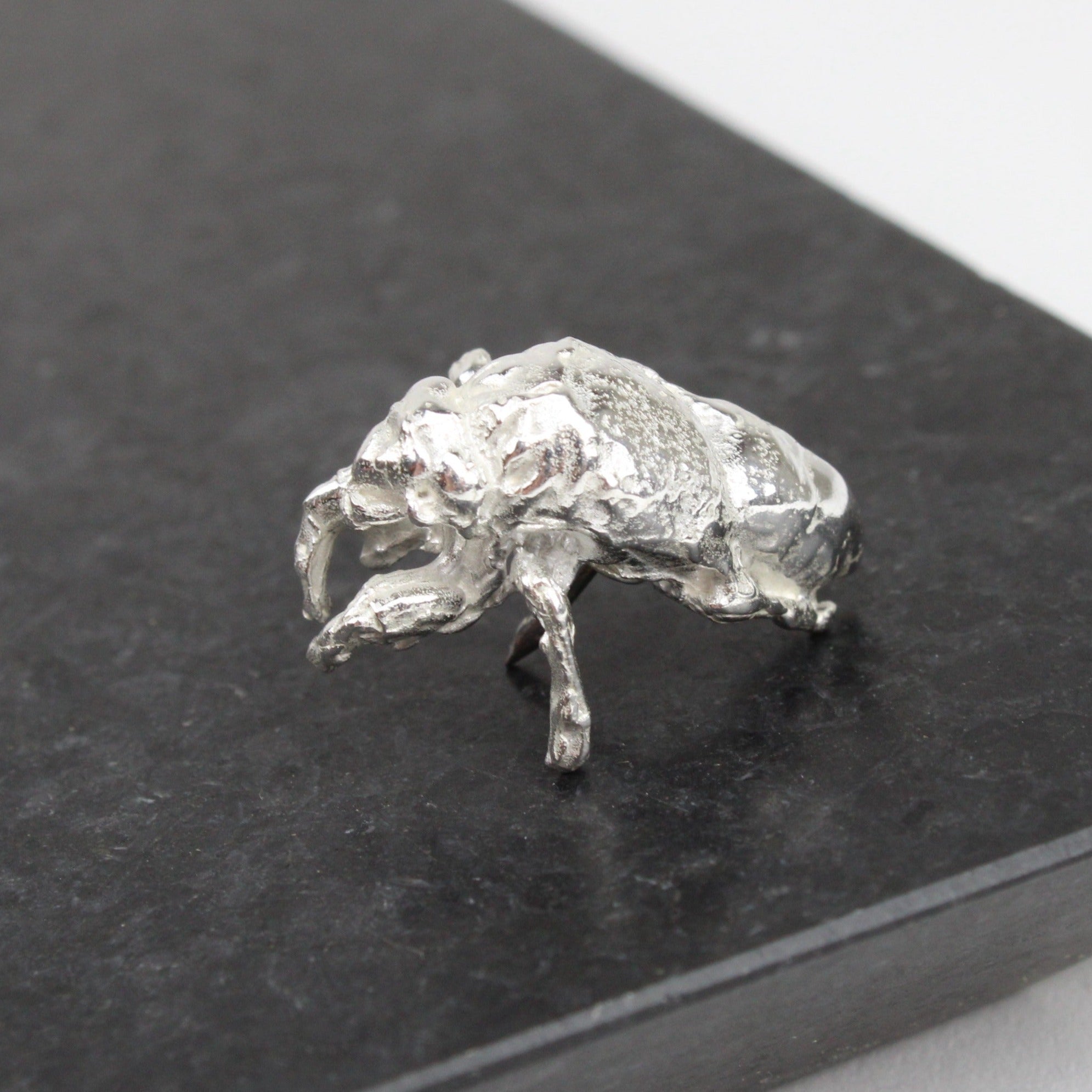 Cicada Shell Brooch Pin – Kina NZ Design + Artspace