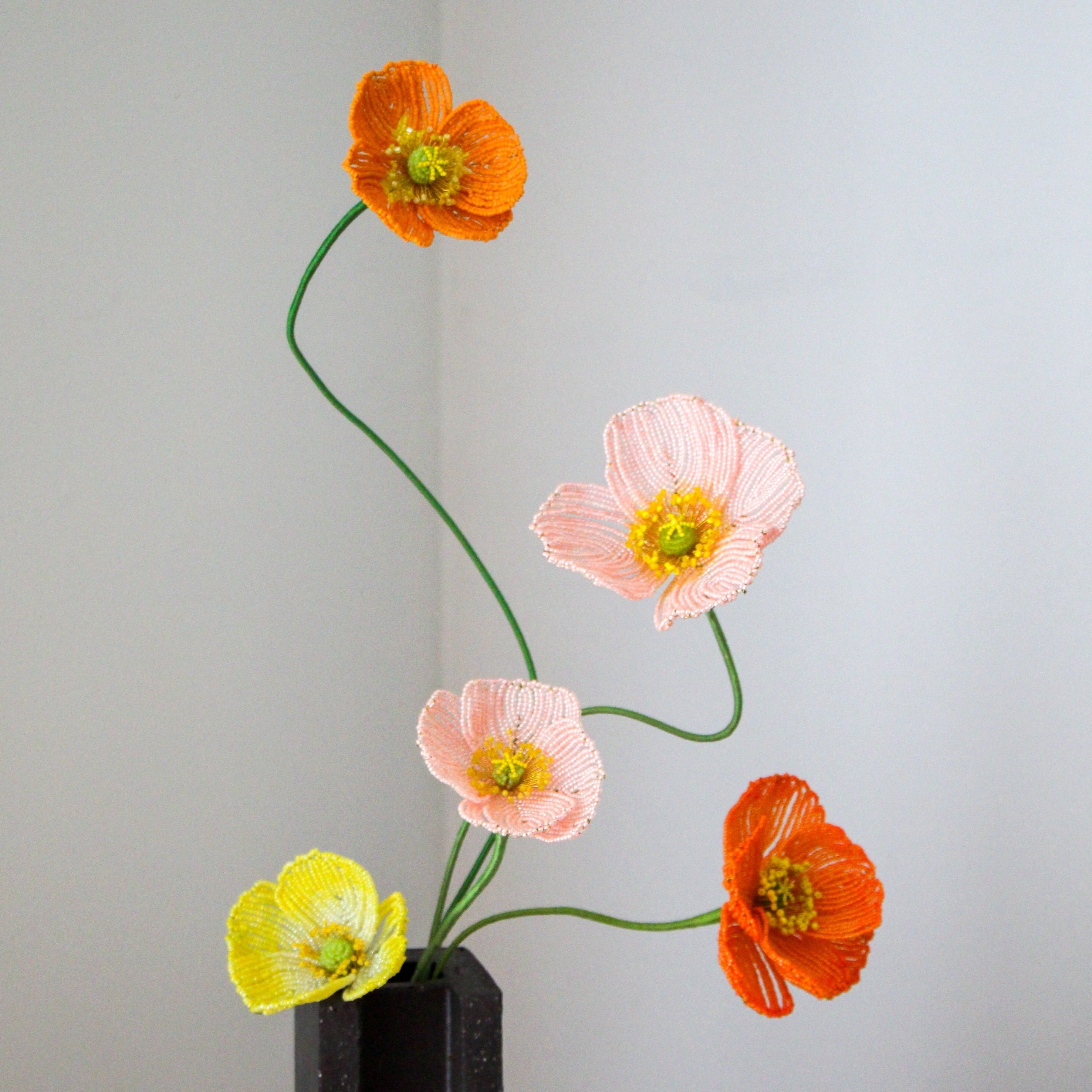 Poppies, Together – Kina NZ Design + Artspace
