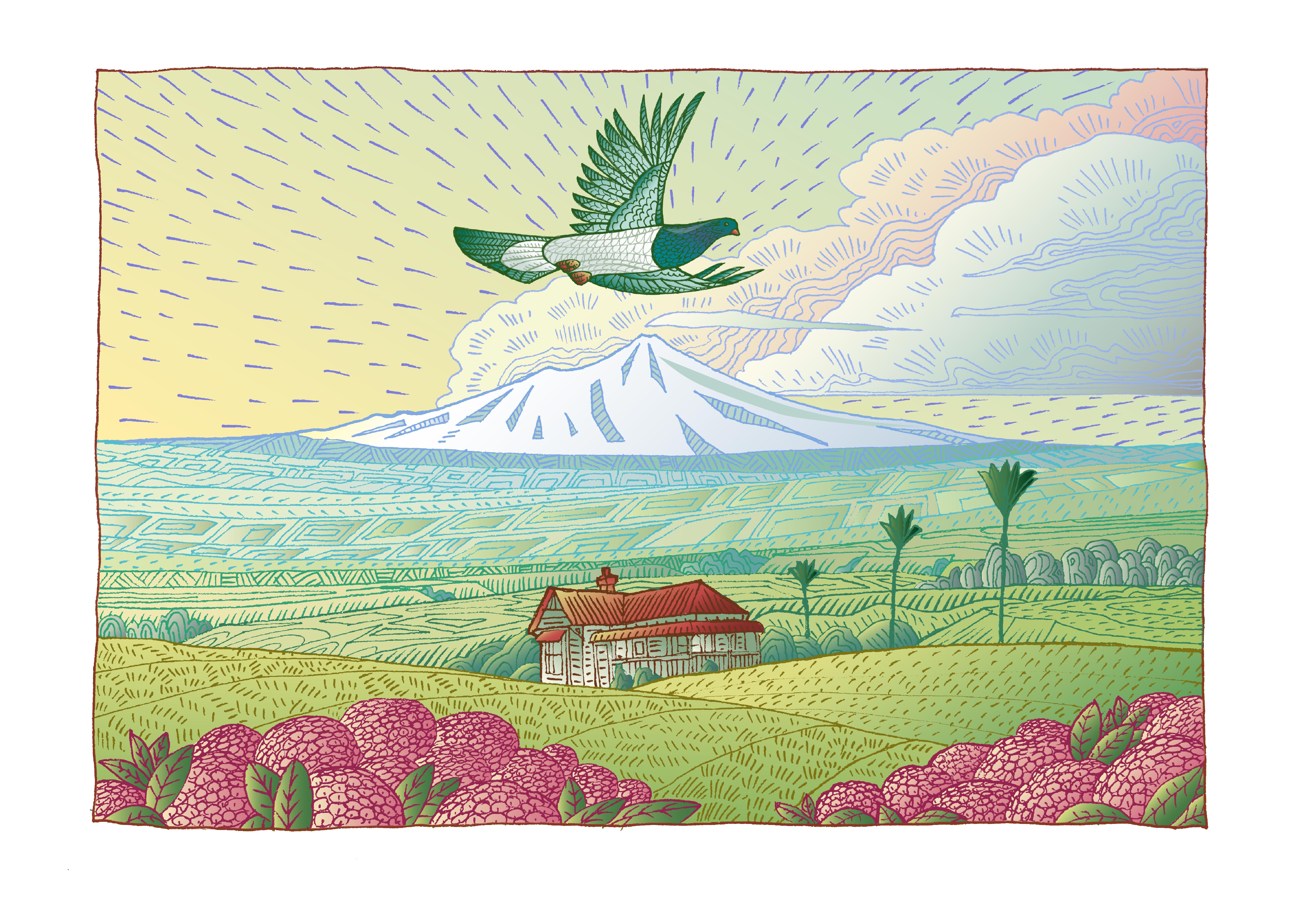Kereru @ South Taranaki from line drawing – Kina NZ Design + Artspace