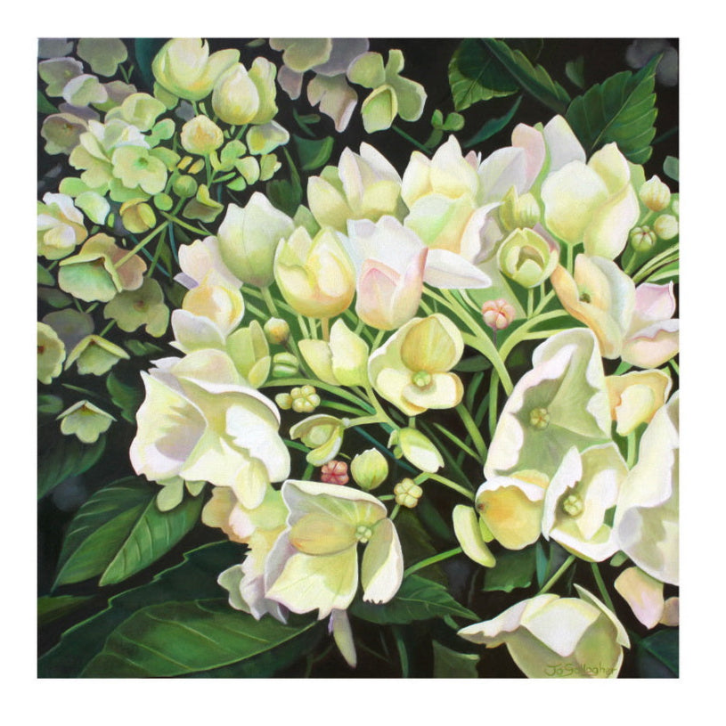 Limelight – Kina NZ Design + Artspace