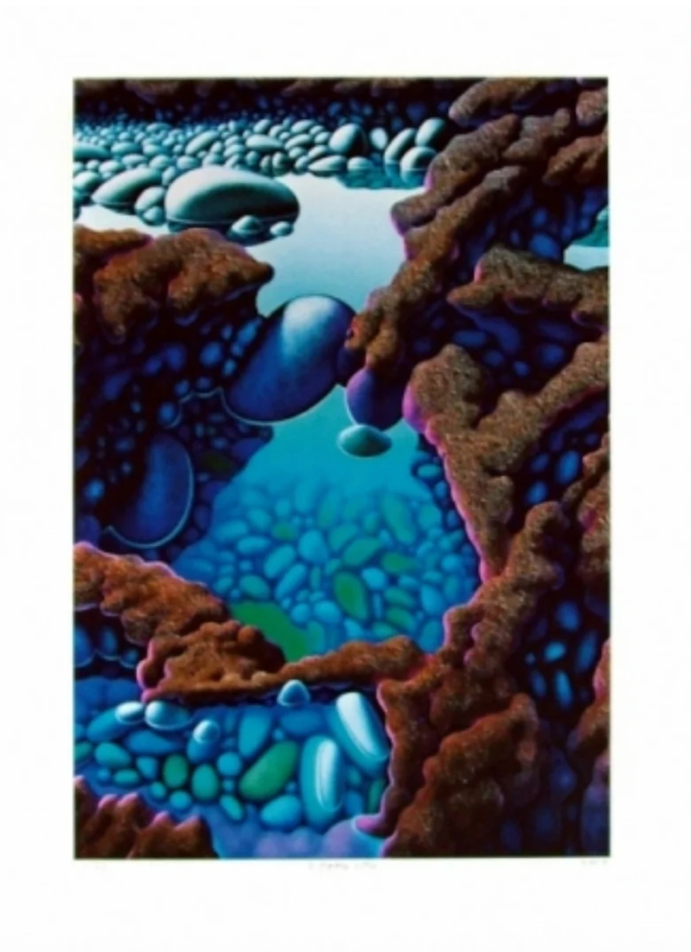 3 Rock Pools and Lava Flow - 3rd Edition – Kina NZ Design + Artspace