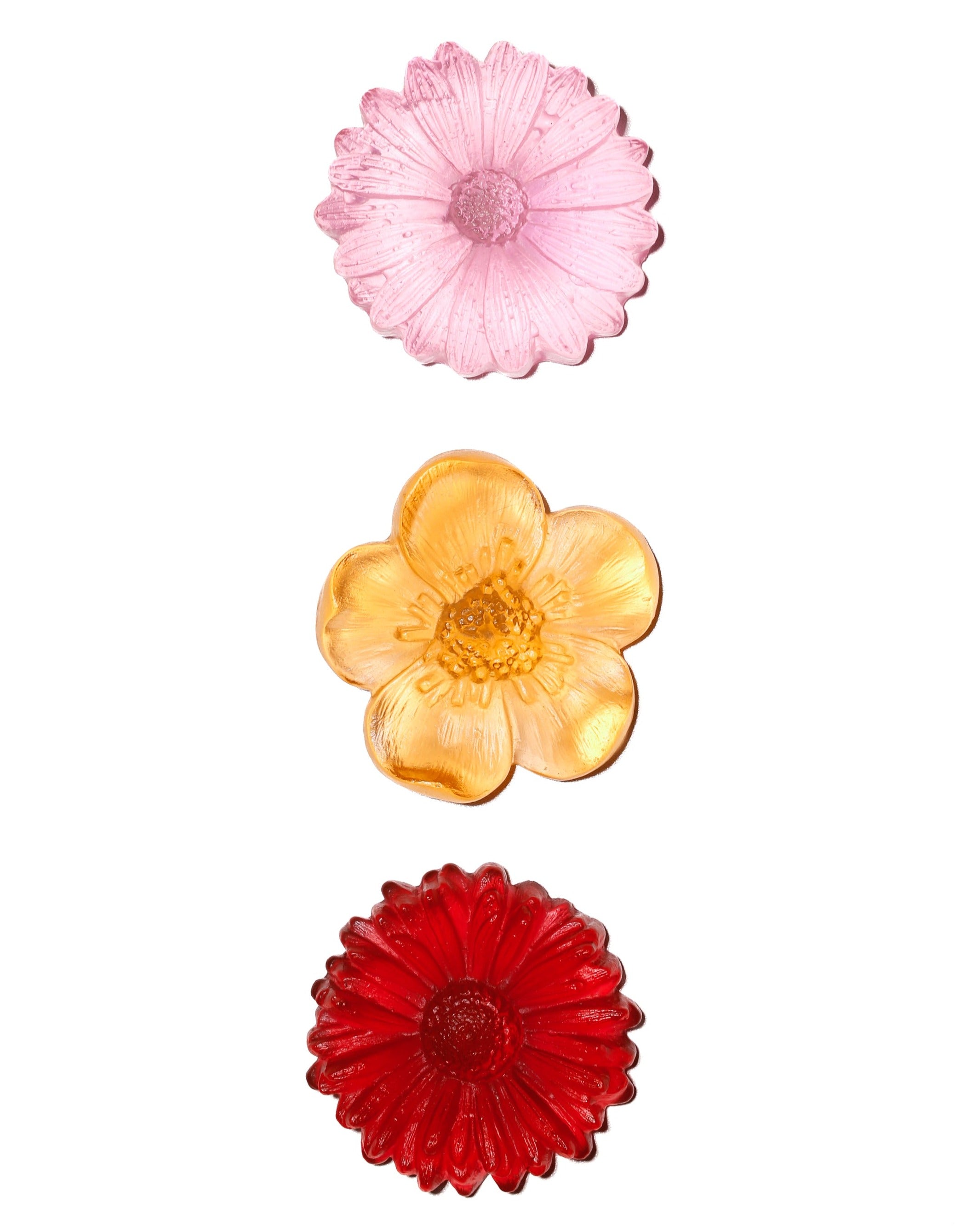 Garden Path - Warm Autumn Ruby – Kina NZ Design + Artspace