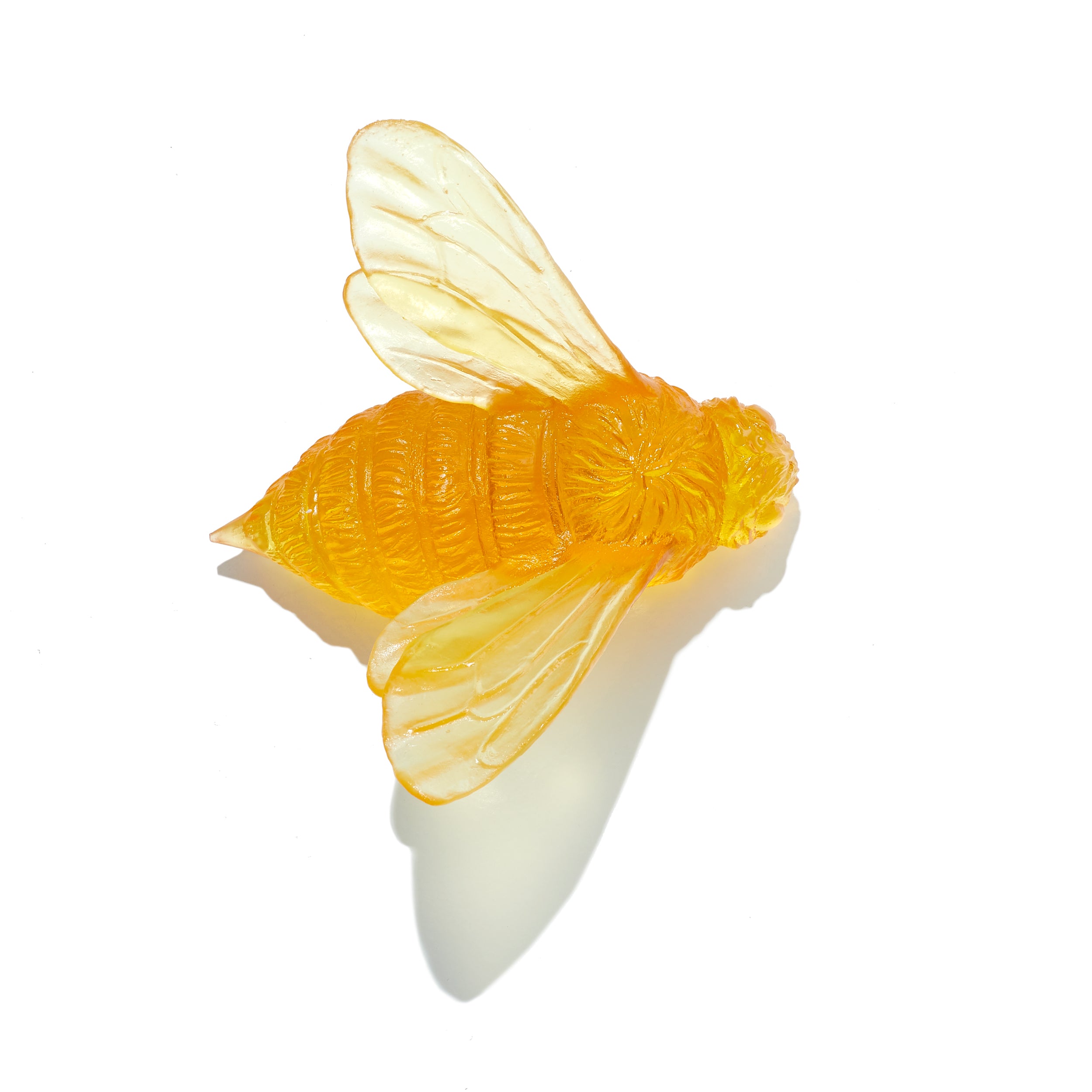 Honey Bee - wings in - Pale Yellow – Kina NZ Design + Artspace